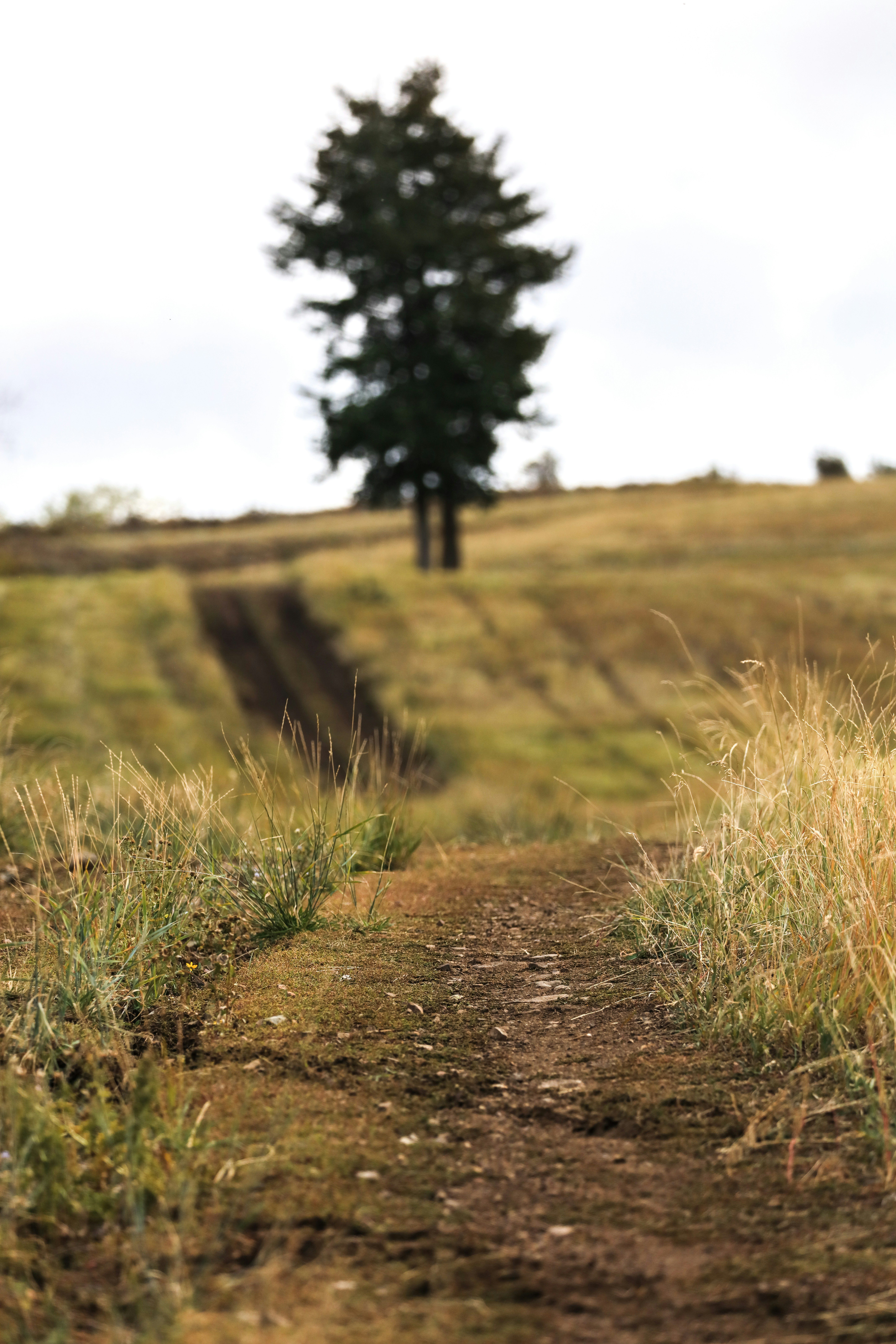 Being Grounded — Dr. Mark DeYoung, LMFT